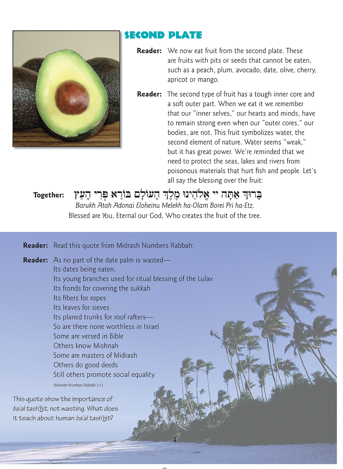 Whole School Tu B'Shvat 6: Tu B'Shvat Seder – Torah Aura Productions